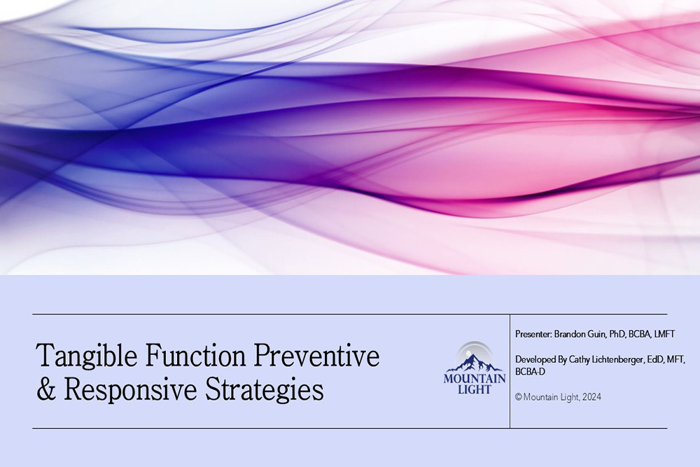 Tangible Function: Preventive and Responsive Strategies - View course