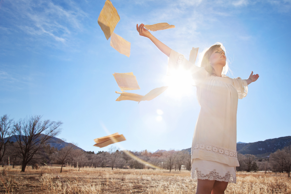 Embracing Your Inner Elsa: How to Let Sh*t Go and Teach Others to Let ...