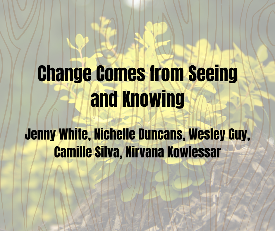 Change Comes from Seeing and Knowing - View course