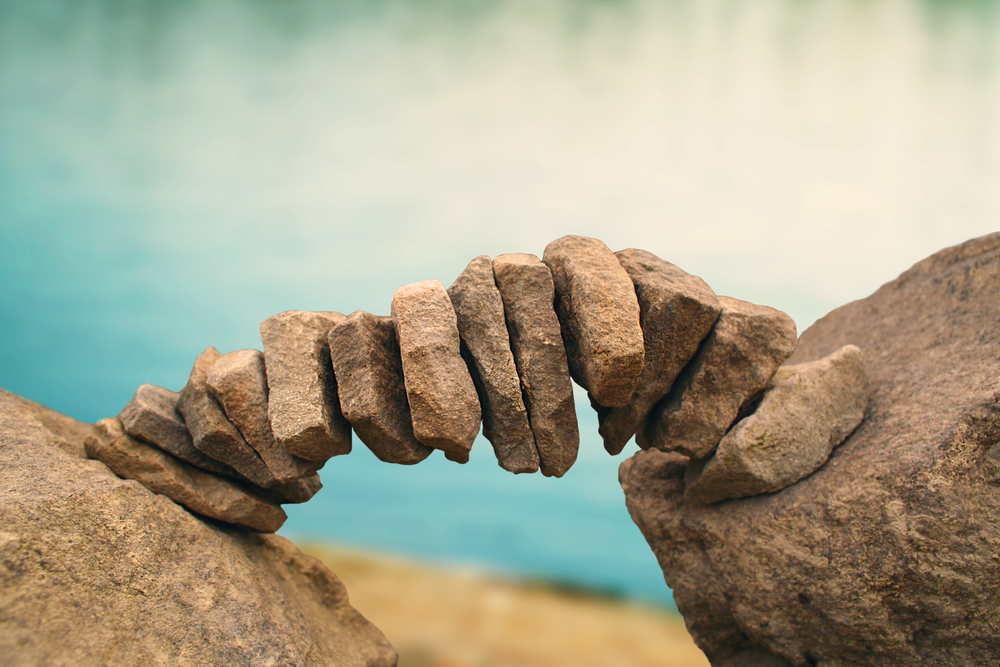 Bridging the Divide: Exploring the Intersection of Cultural Competency ... Bridging the Divide: Exploring the Intersection of Cultural Competency ...
