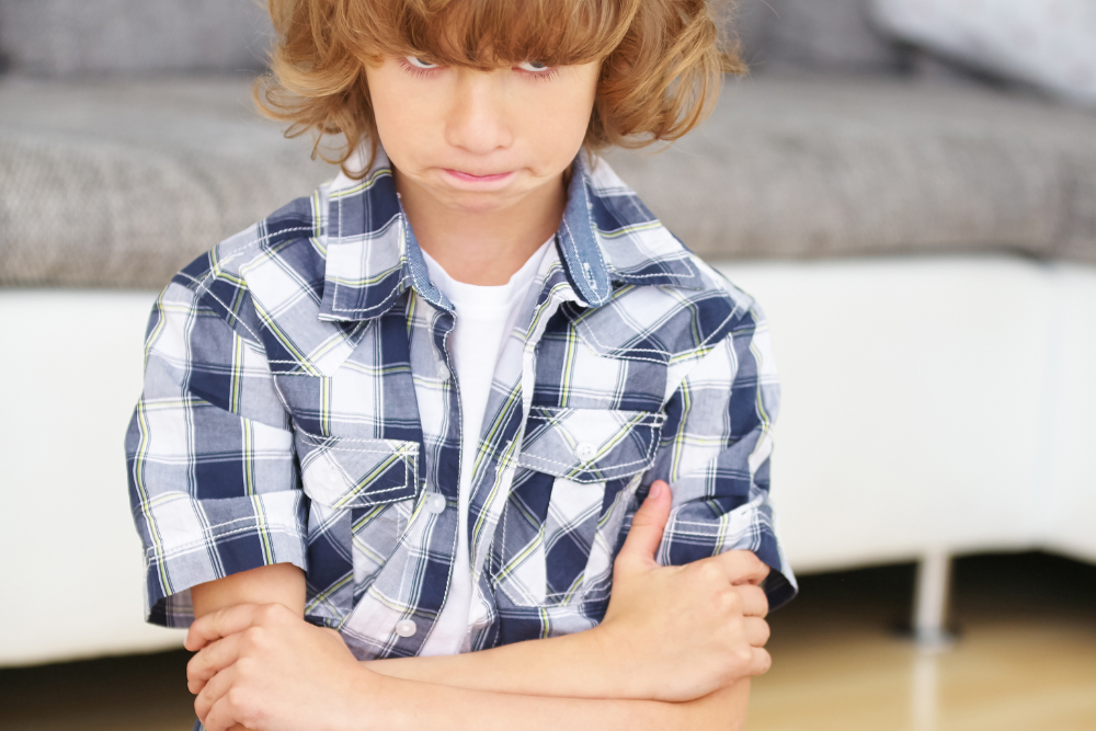 “NO (and how dare you?)” Decoding Defiance and Demand Avoidance With ...
