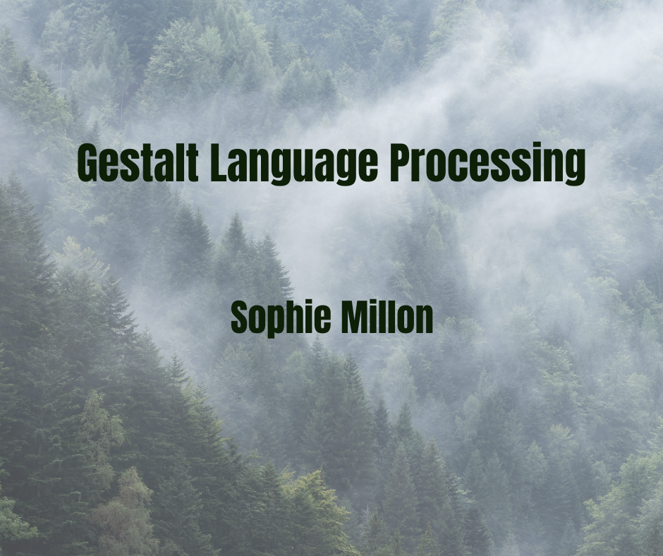 Gestalt Language Processing- Evaluating the Evidence - View course